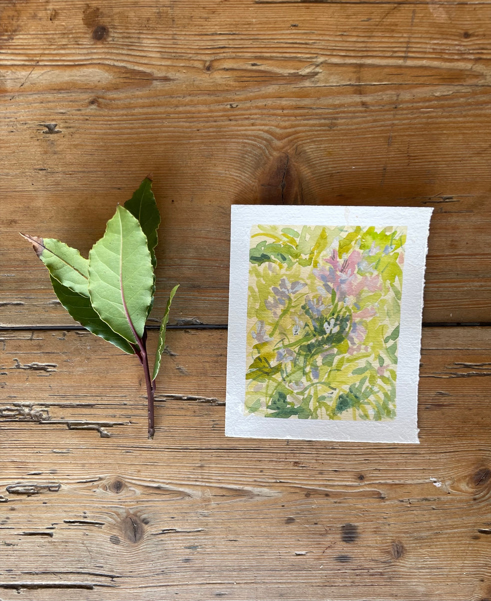 Cuckoo Flowers morning | Josephine Birch for Partnership Editions