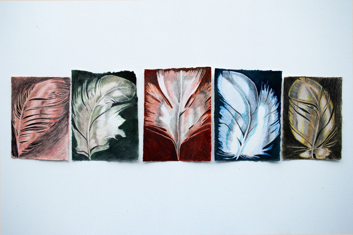 A Message in Red | Robyn Packham for Partnership Editions