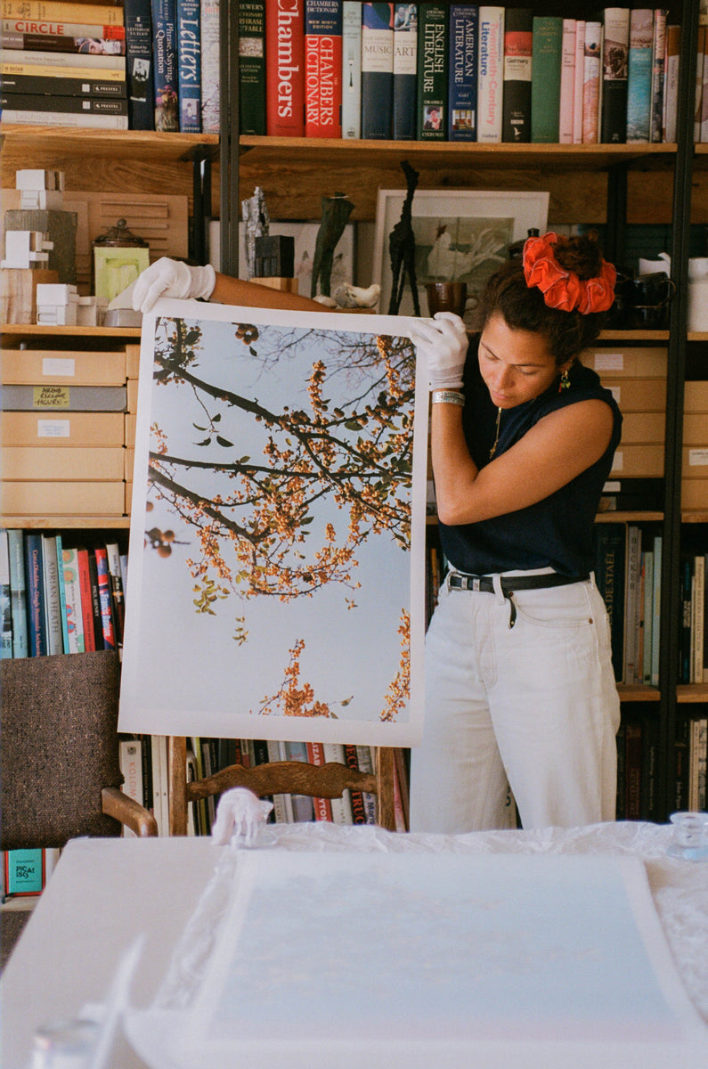 Spring's Morning, London, 2019 | Lily Bertrand-Webb for Partnership ...