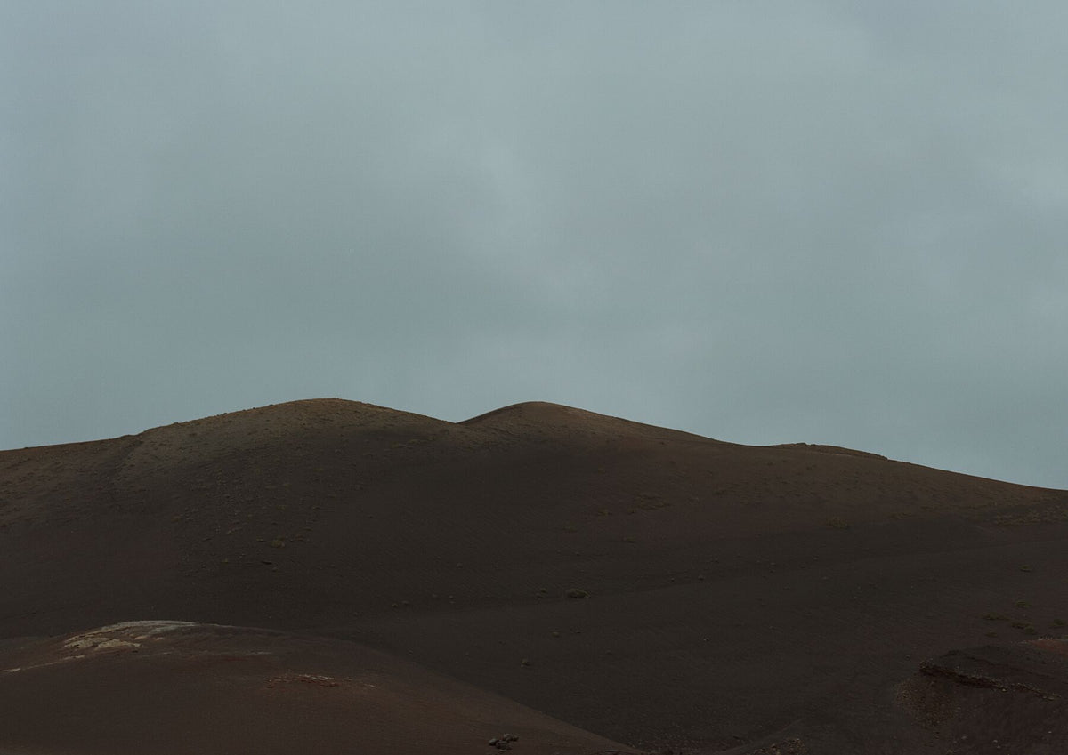 Red Picón – Partnership Editions